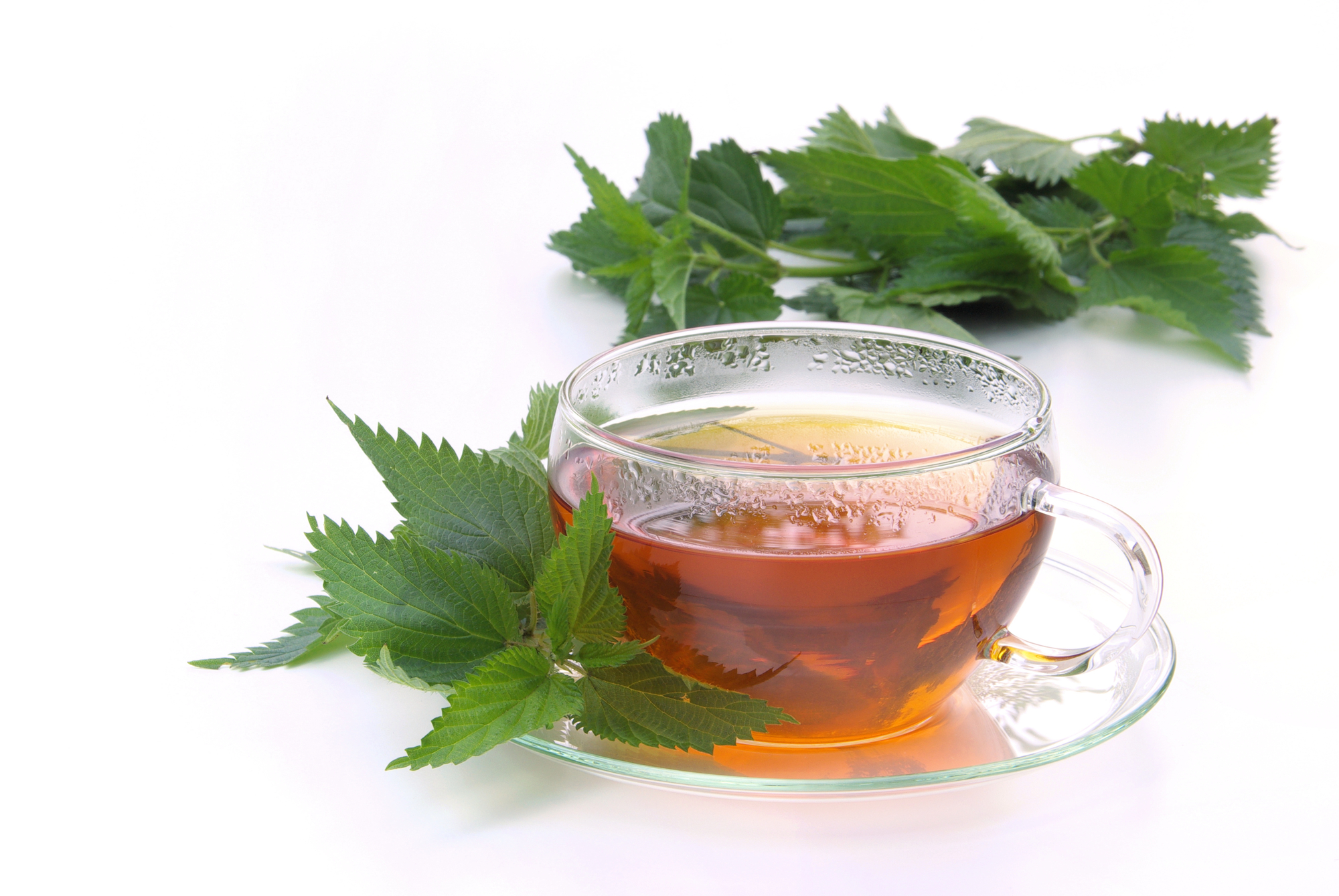 {Recipe} Nourishing Nettle Infusion {Vegan, Gluten Free} – Joanna Steven